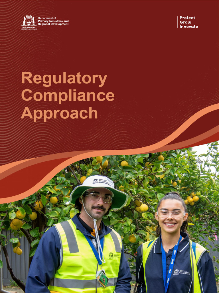 Regulatory Compliance Approach | PDF | Regulatory Compliance | Governance