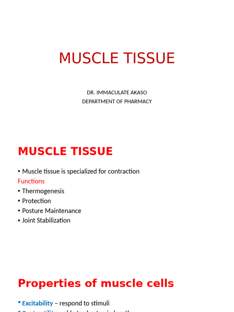 Muscle Tissue NOTES | PDF | Muscle Contraction | Cardiac Muscle