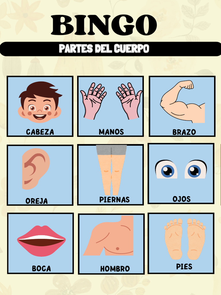 Bingo Partes Del Cuerpo | PDF