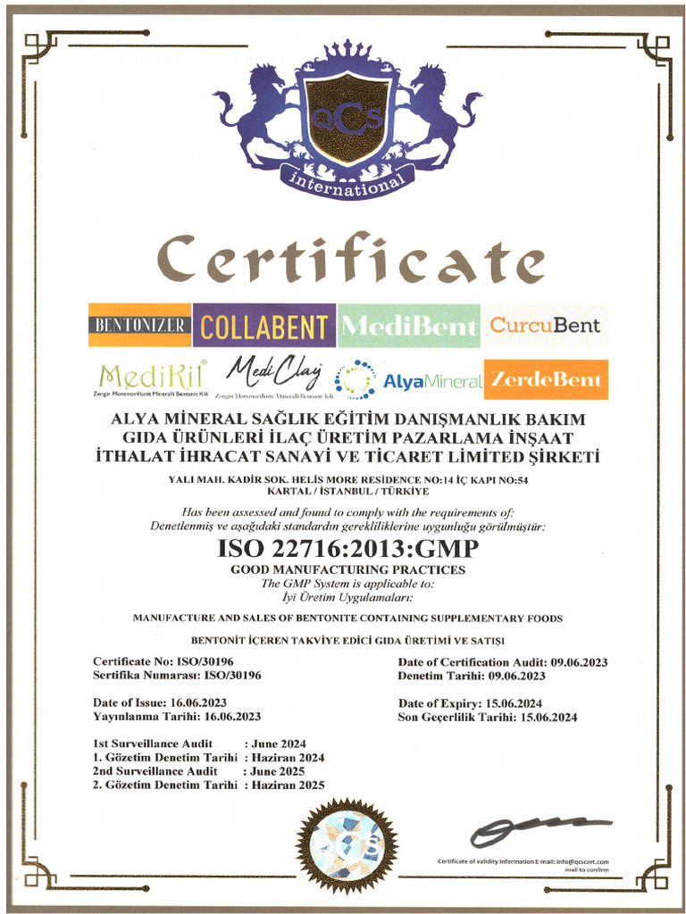 Alya Mi̇neral Gmp-Takvi̇ye Edi̇ci̇ Gida | PDF