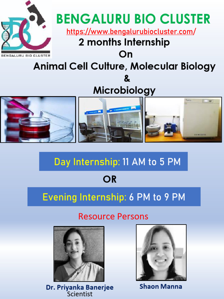 Bengaluru Bio Cluster Internship Program | PDF | Cell Culture ...