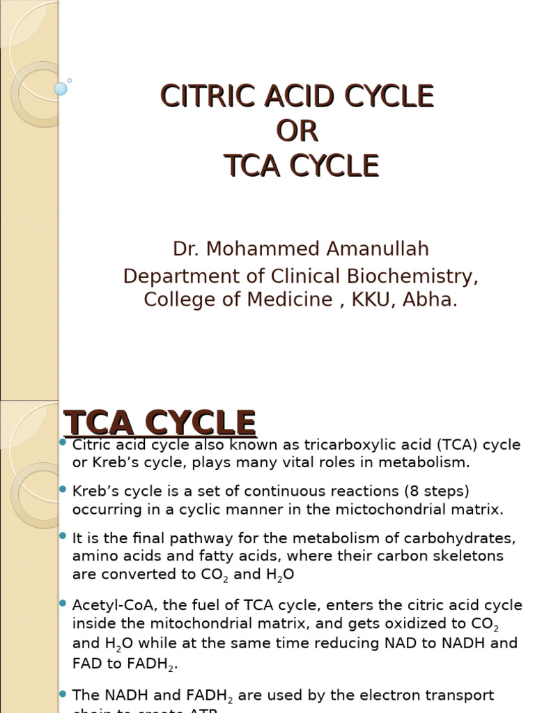 Citric Acid Cycle or Tca Cycle | PDF | Diet & Nutrition | Chemistry