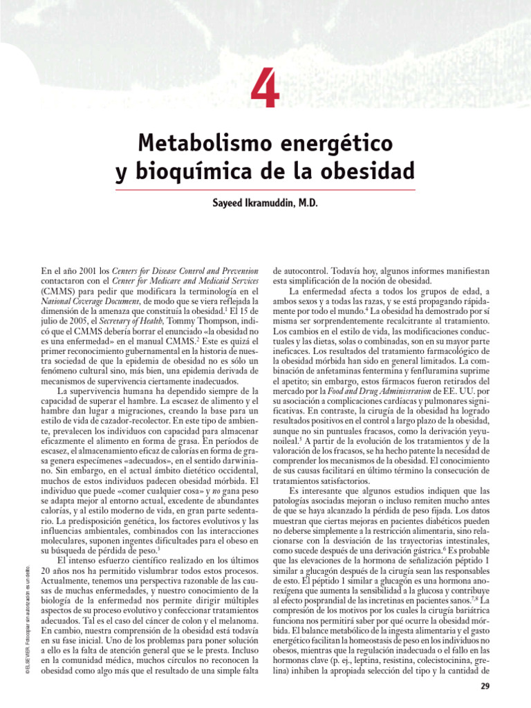 Cap Tulo 4 Metabolismo Energ Tico y Bioqu Mica de La Obesidad | PDF | Leptina | Obesidad