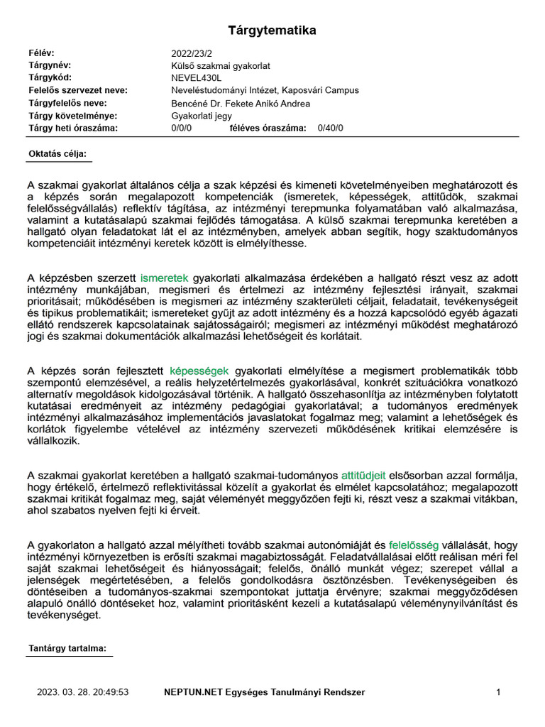 Külső Szakmai Gyakorlat | PDF