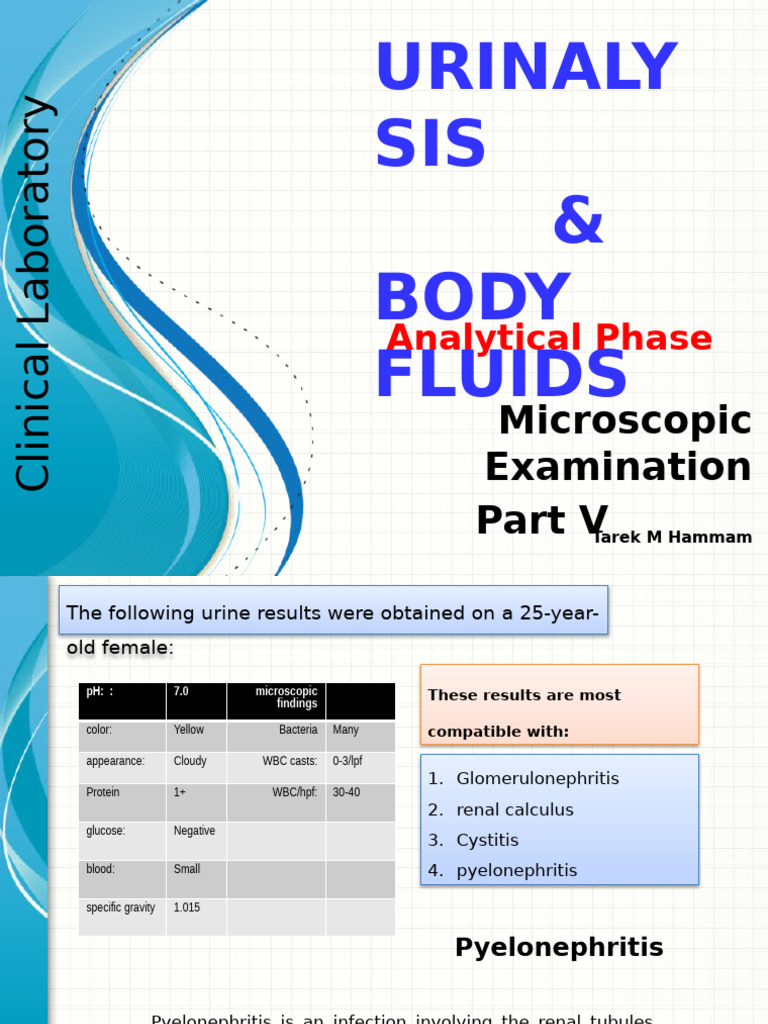 Urine and Body Fluid Analytical Phase Microscopic Examination Part V ...