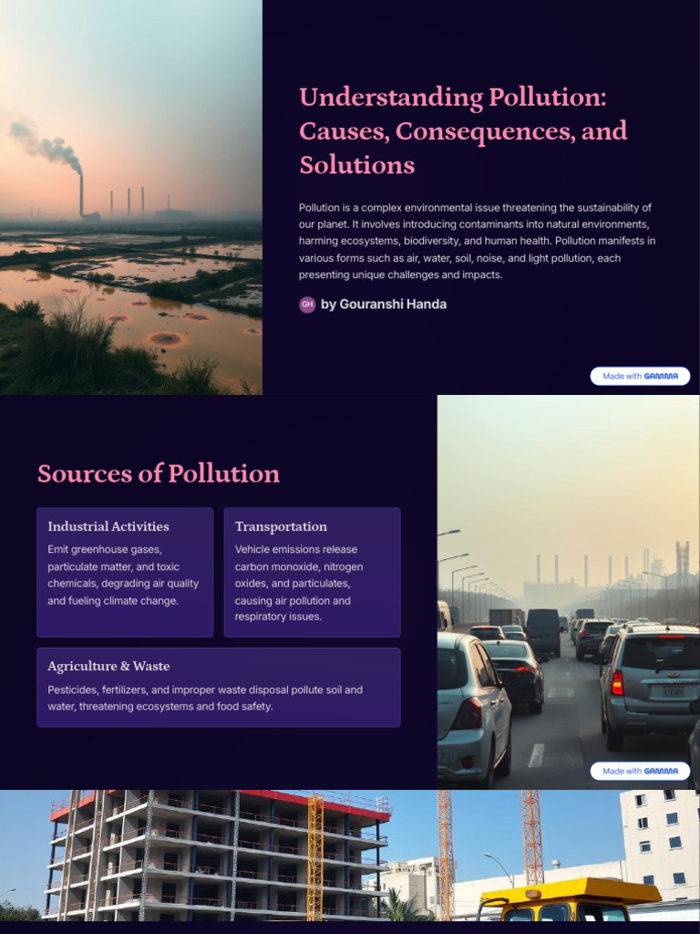 Understanding Pollution Causes Consequences and Solutions | PDF ...