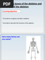 BTEC Sport Level 3 Revision Guide Skeletal System | PDF | Anatomical ...