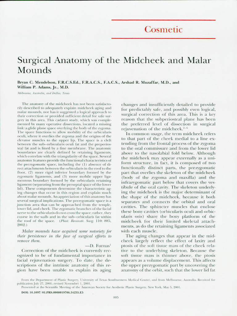 Anatomia Malar para Preenchedor | PDF