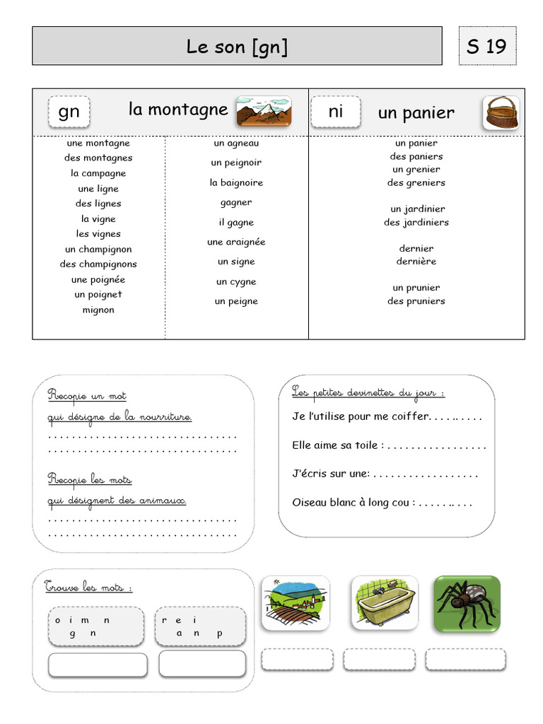 Exercices sur le son [gn] | PDF | Organismes