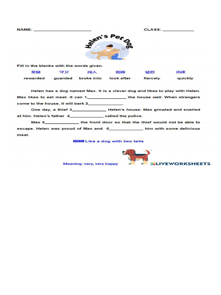 Pet Bundle | PDF