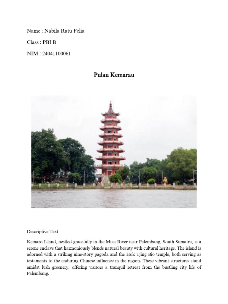 Paragraph Writing | PDF