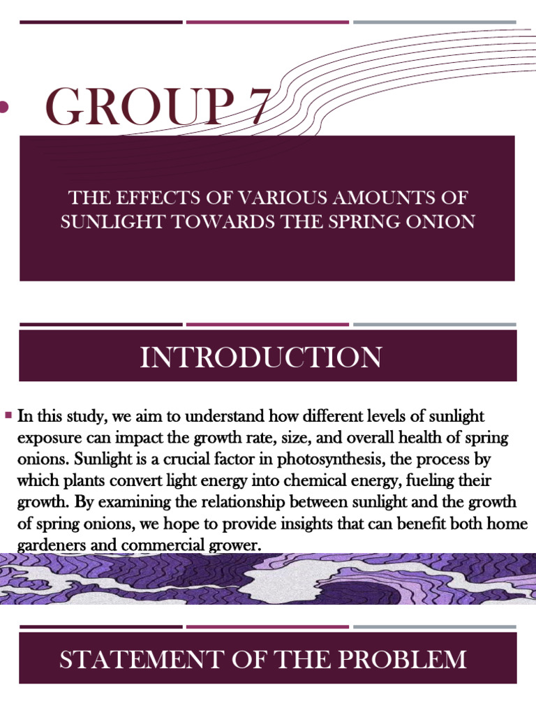 Sunlight Effects on Spring Onion Growth | PDF | Onion | Leaf