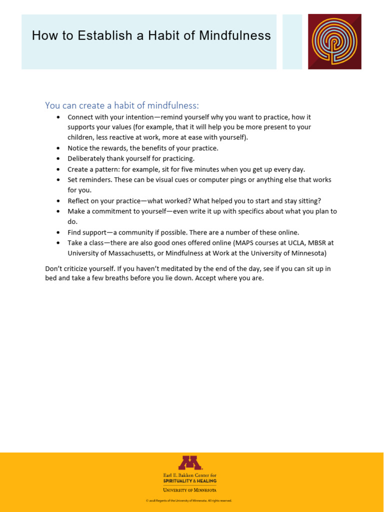 Habit of Mindfulness | PDF