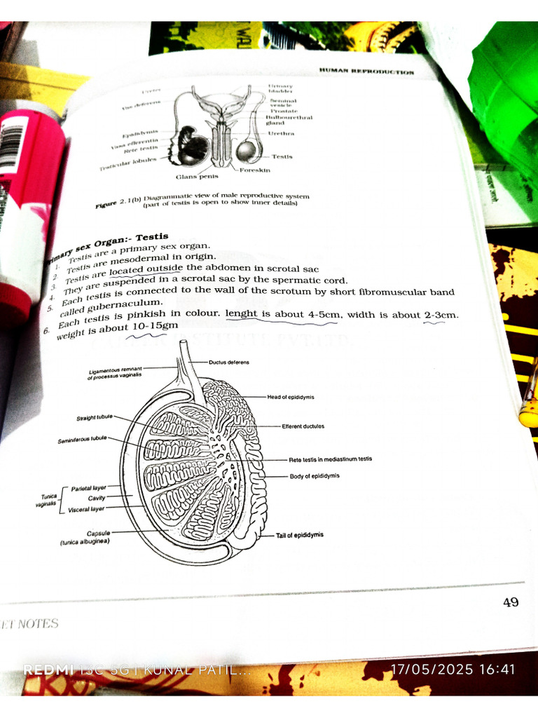 PDFReader 20250517 164k | PDF