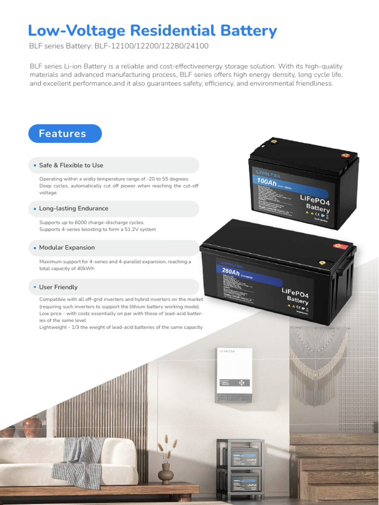 Battery BLF-12100-12200-12280-24100 | PDF | Energy Storage | Electricity