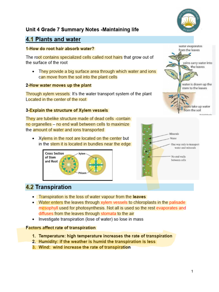 Grade 7 Life Maintenance Summary Notes | PDF | Kidney | Human Body