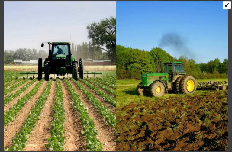 Advantages and Disadvantages of Arable Farming - Legit - NG | PDF ...