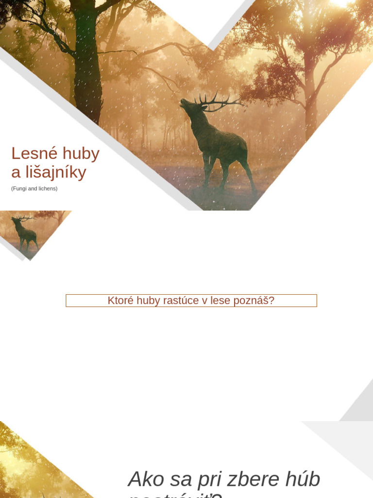 5BIO - Lesne Huby | PDF