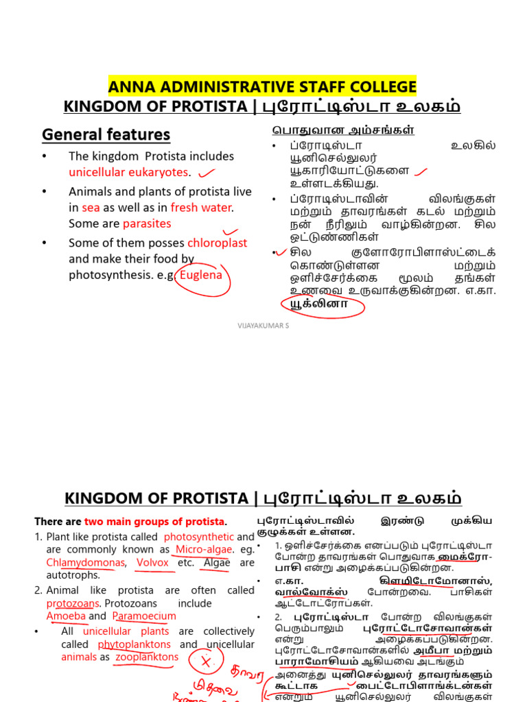 Protista, Fungi and Plant Kingdoms | PDF