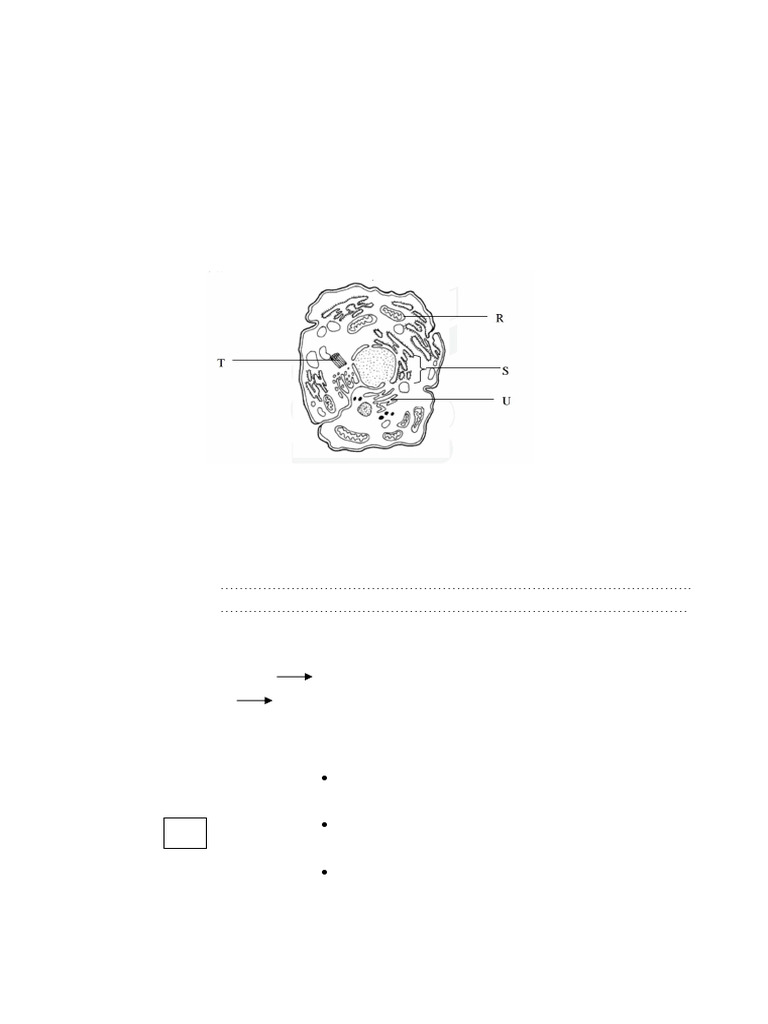 2025 Bio PPT F5 | PDF