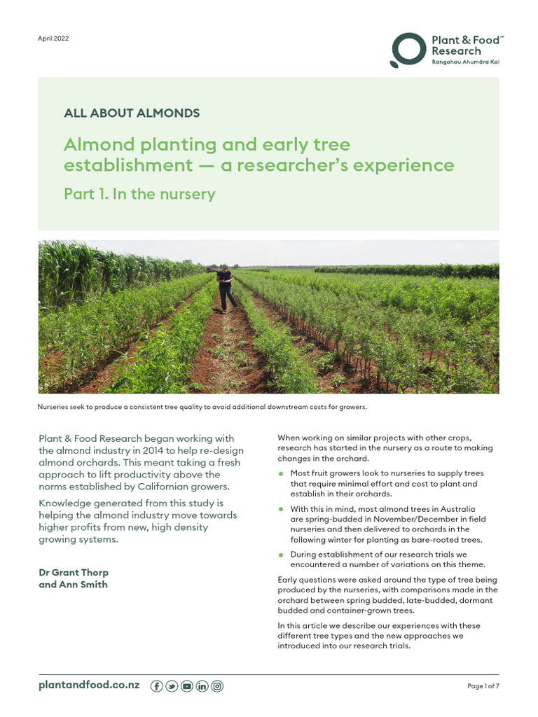 Almond Planting and Early Tree Establishment in The Nursery Part 1 ...