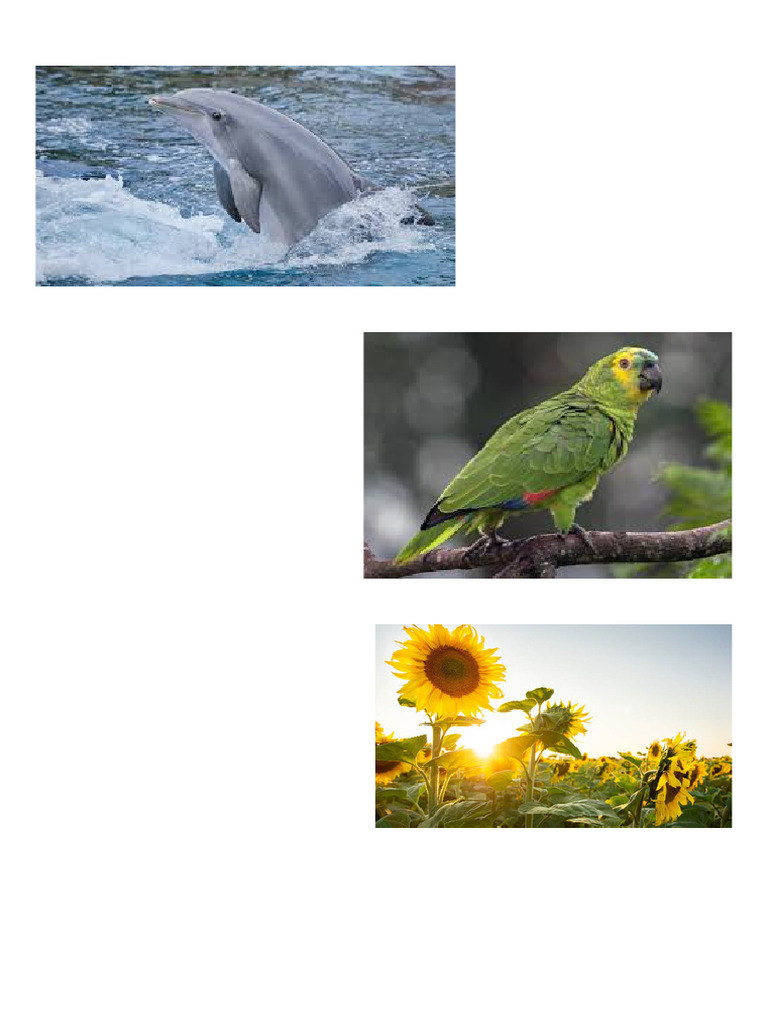 Documento (1).docx_20250512_091628_0000 | PDF