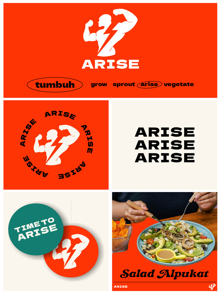ARISE | PDF