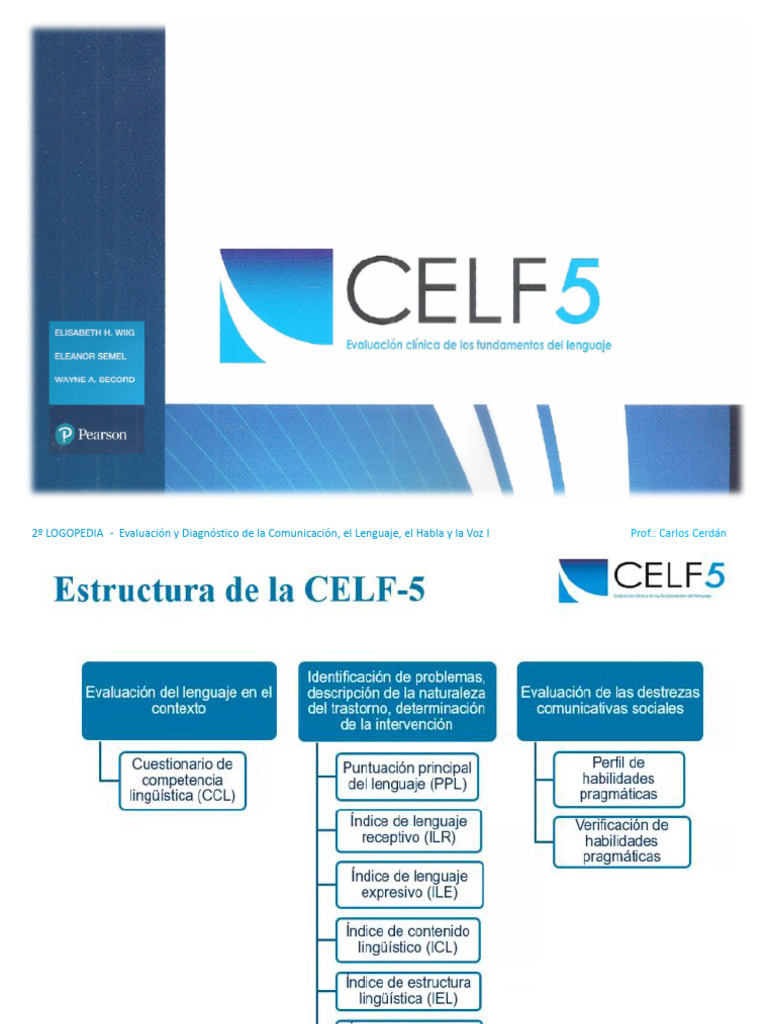 CELF 5 | PDF