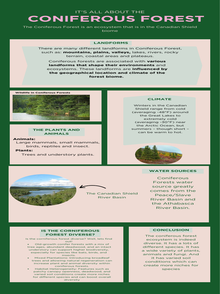 Ecosystem Coniferous Forest-Jacob | PDF | Forests | Biodiversity