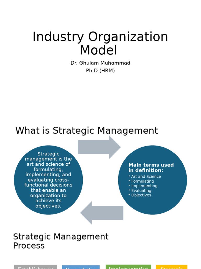 Industry Organization Model | PDF | Economies | Business