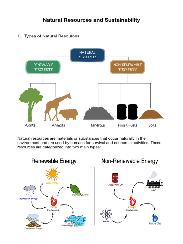GE Natural Resources and Sustainability | PDF | Forests | Renewable Energy