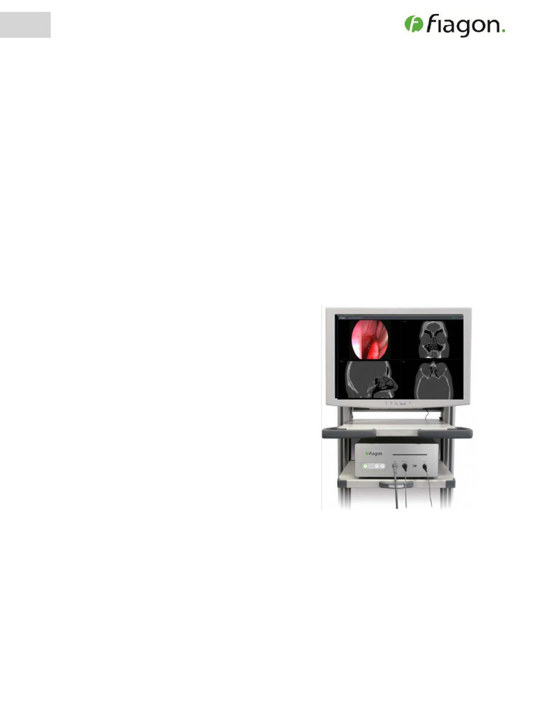 Fiagon Navigation System | PDF | Electromagnetic Interference ...