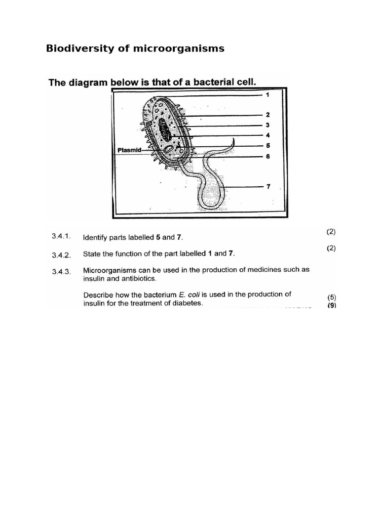 LIFE SCIENCE P2 REVISION GRD 11 | PDF
