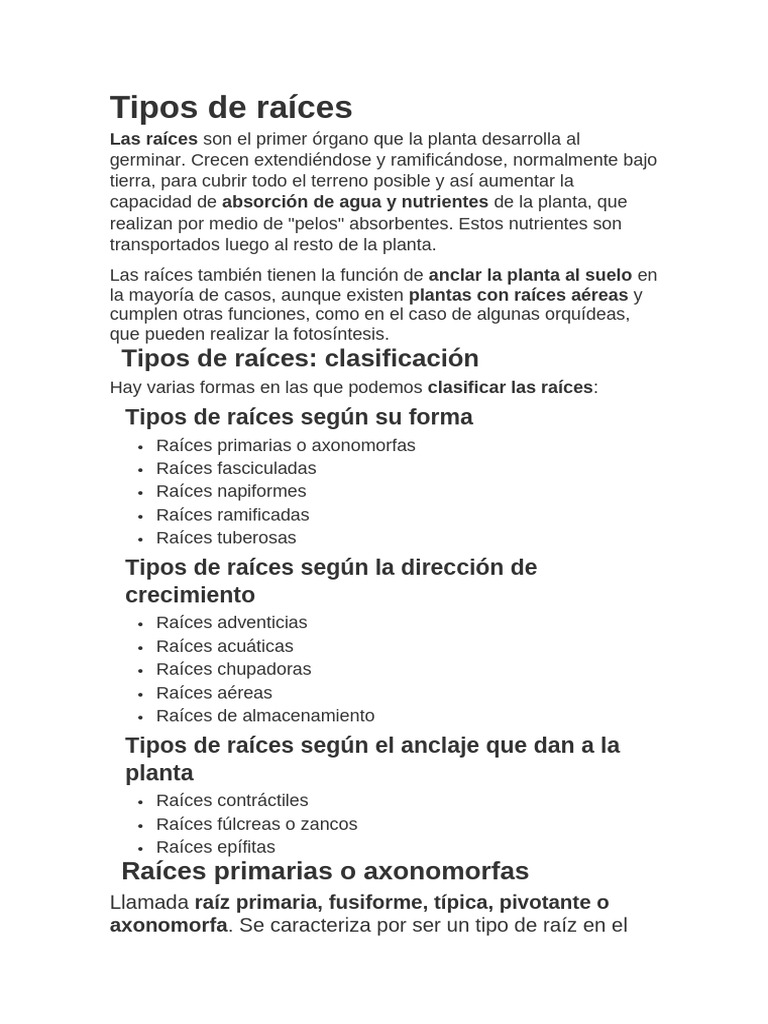 Clasificación de tipos de raíces | PDF | Raíz | Plantas