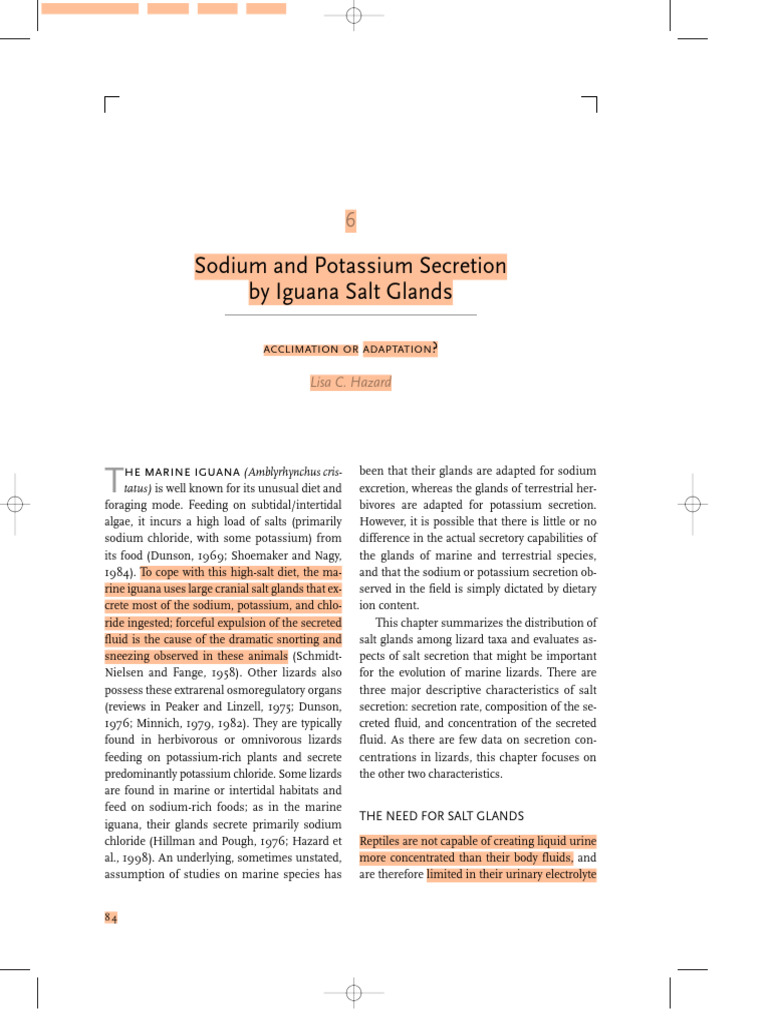 Marine Iguana Salt Excretion Adaptations | PDF | Potassium | Chemistry