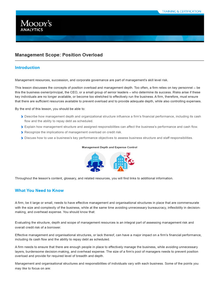 Understanding Management Position Overload | PDF | Organizational ...