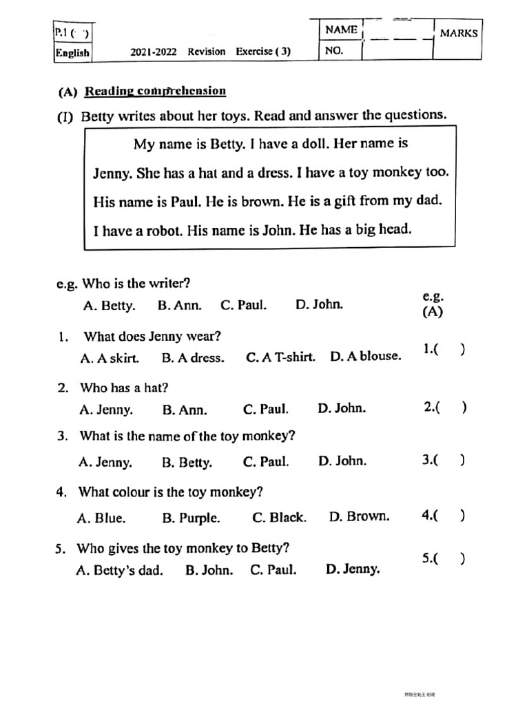 P1 ENG General English Test Paper | PDF