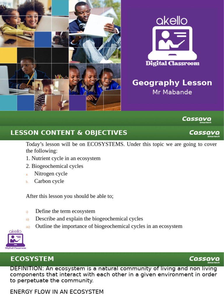 ECOSYSTEMS Biogeochemical Cycles | PDF | Ecosystem | Greenhouse Gas