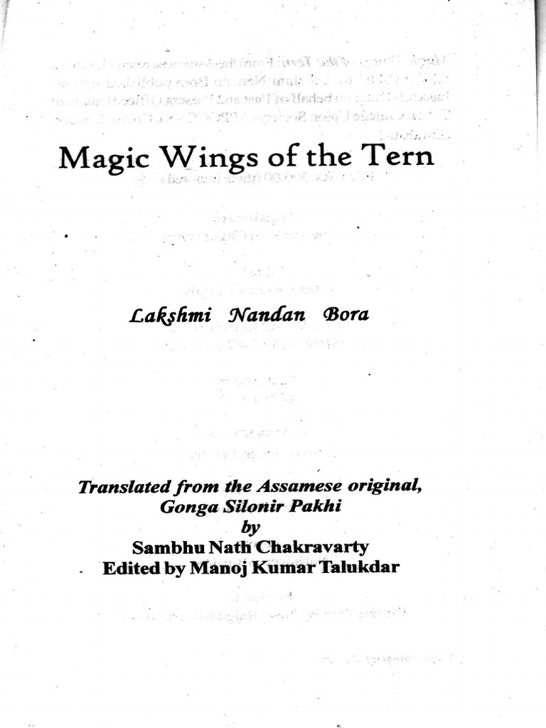 Magic Wings | PDF