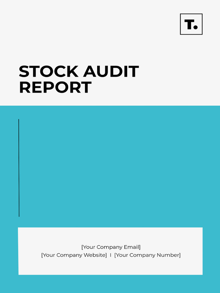 Stock Audit Report Template | PDF