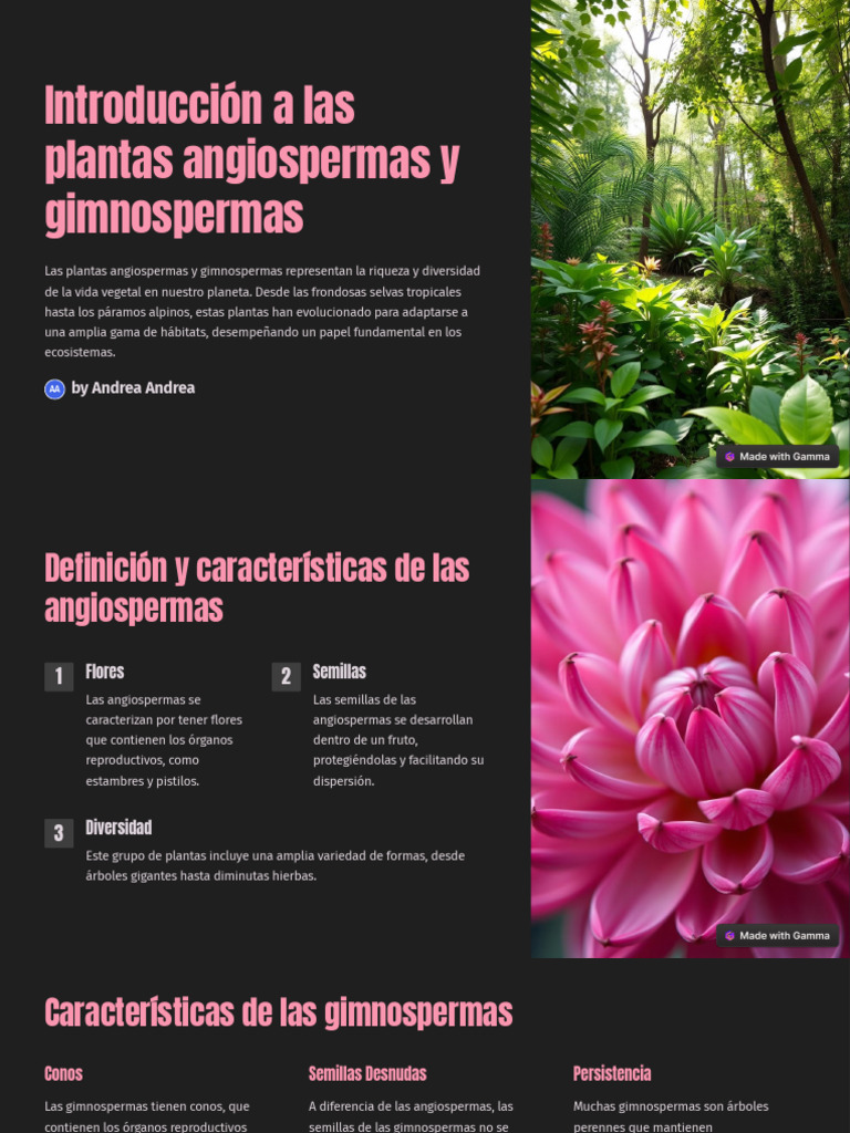 Introduccion A Las Plantas Angiospermas y Gimnospermas | PDF | Plantas | Semilla