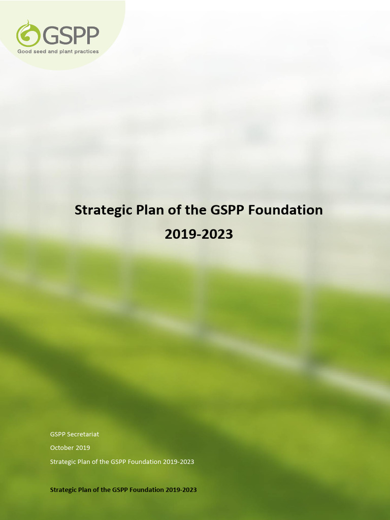 GSPP Foundation Strategic Plan 2019-2023 | PDF | Strategic Planning ...