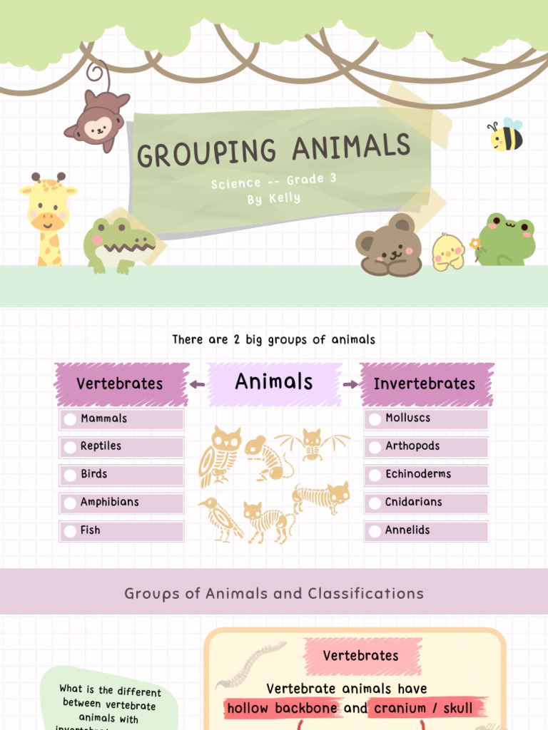 Grouping Animals - Science Grade 3 (Kly) | PDF | Vertebrates | Reptile