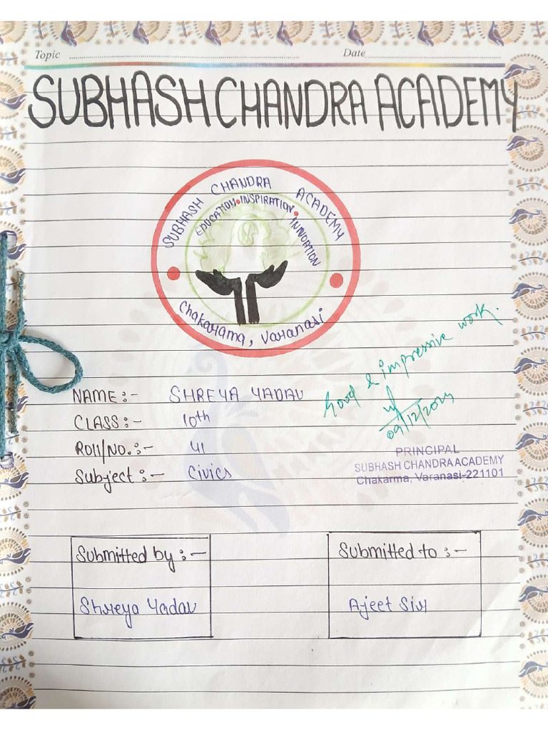 Civics (10) Project | PDF