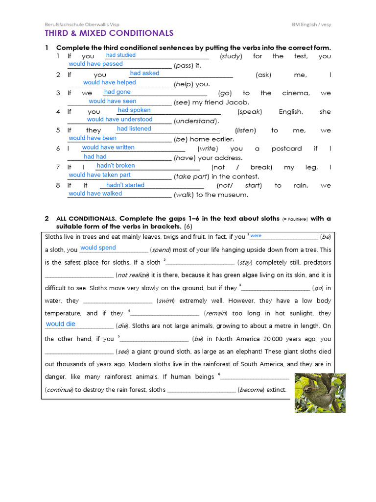 01 - Third & Mixed Conditionals | PDF