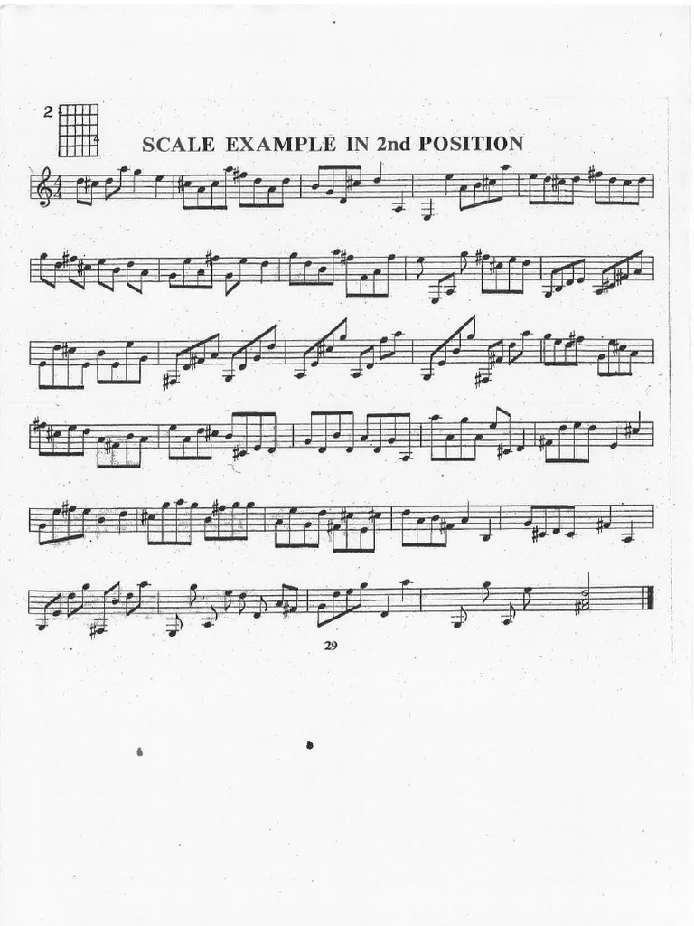 Sight Reading | PDF