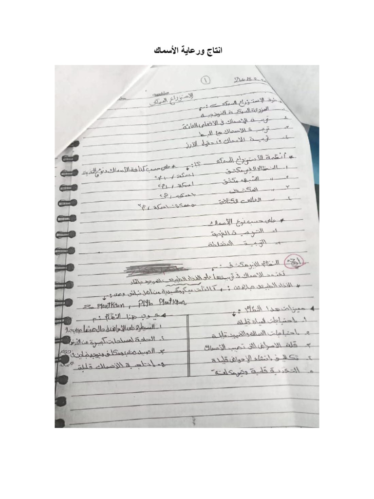 محاضرات 771 | PDF