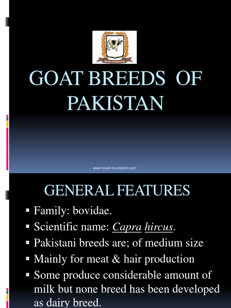 Goat Breeds Of Pakistan Pdf Caprids Mammals Of Asia