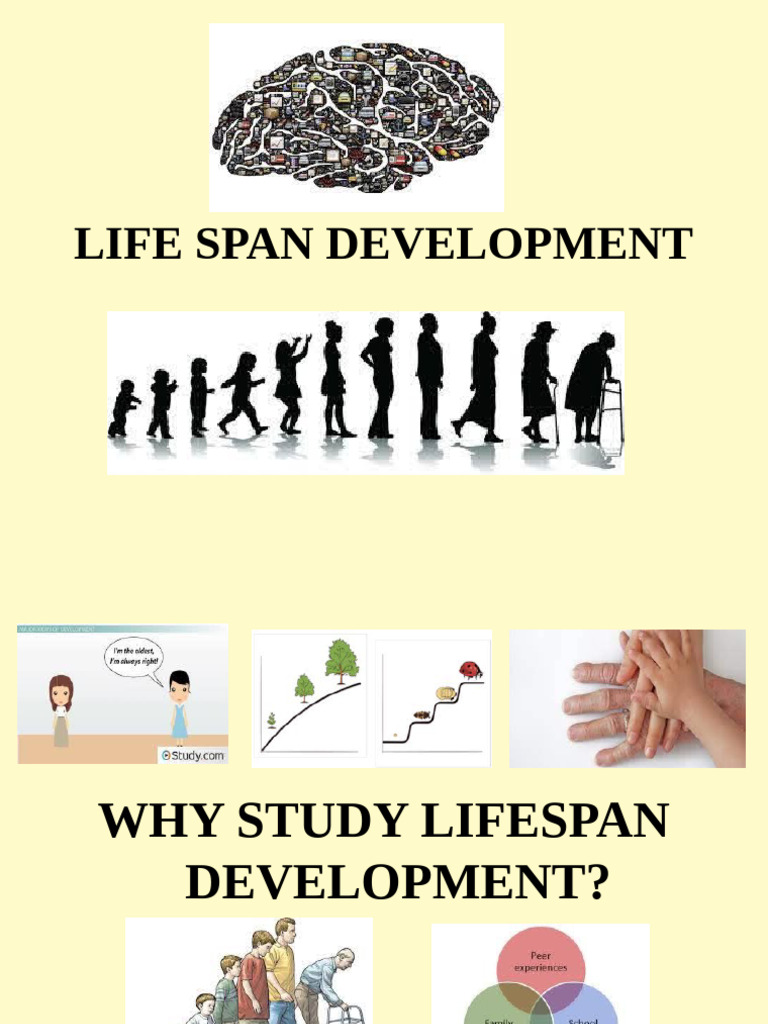 Life Span Development | PDF | Adolescence | Developmental Psychology