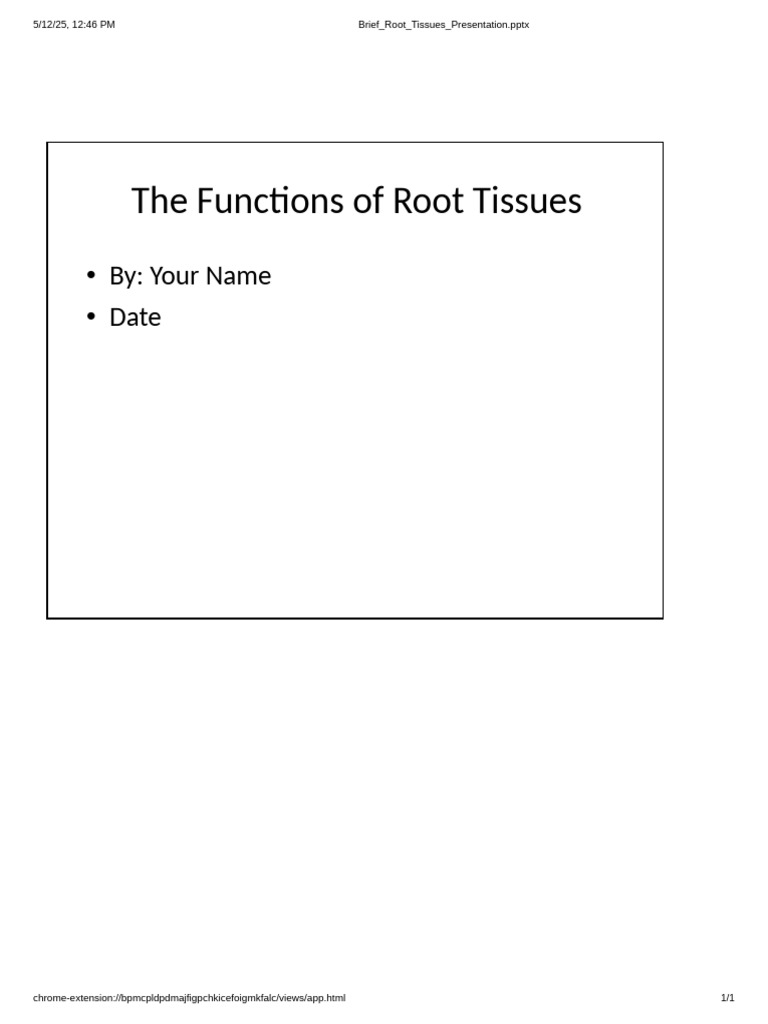 Brief_Root_Tissues_Presentation.pptx | PDF